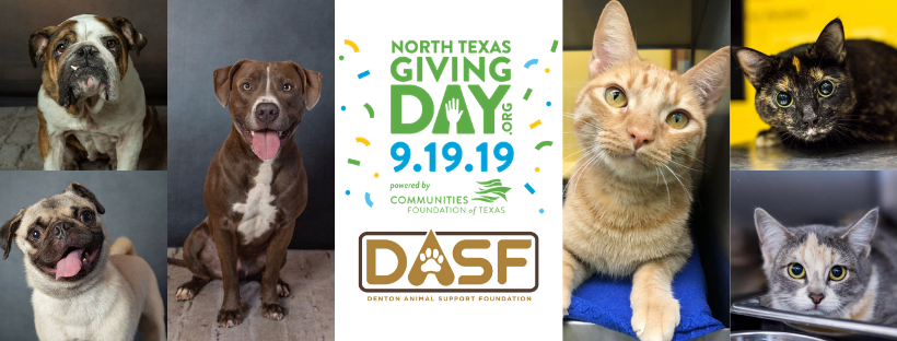 DASF, For the Love of Animals. — Denton Animal Support Foundation