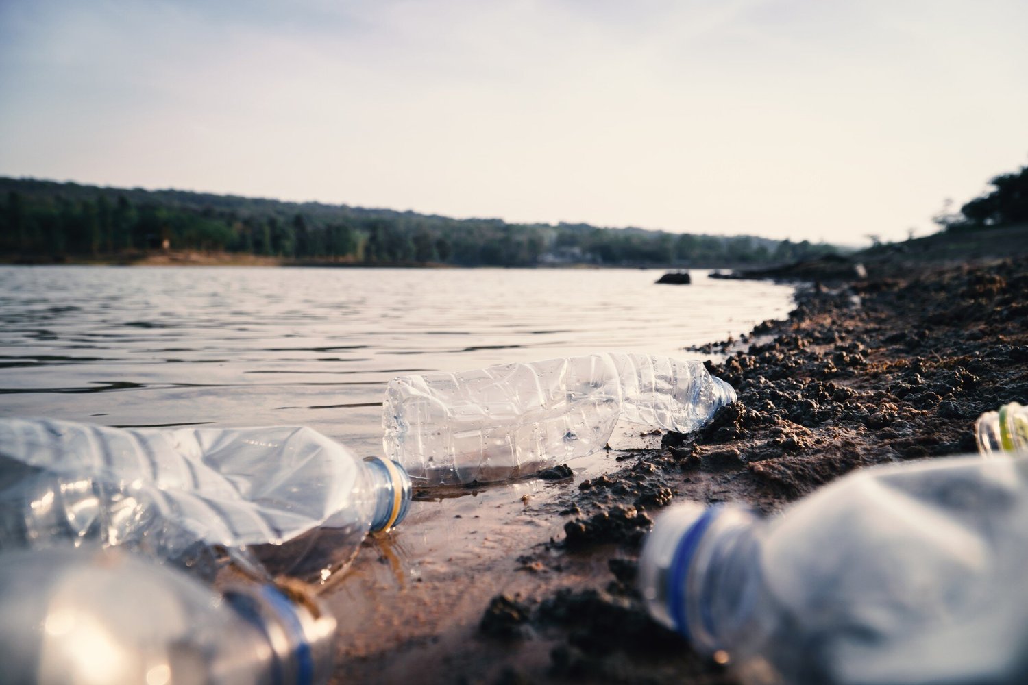 Microplastics — Missouri Confluence Waterkeeper