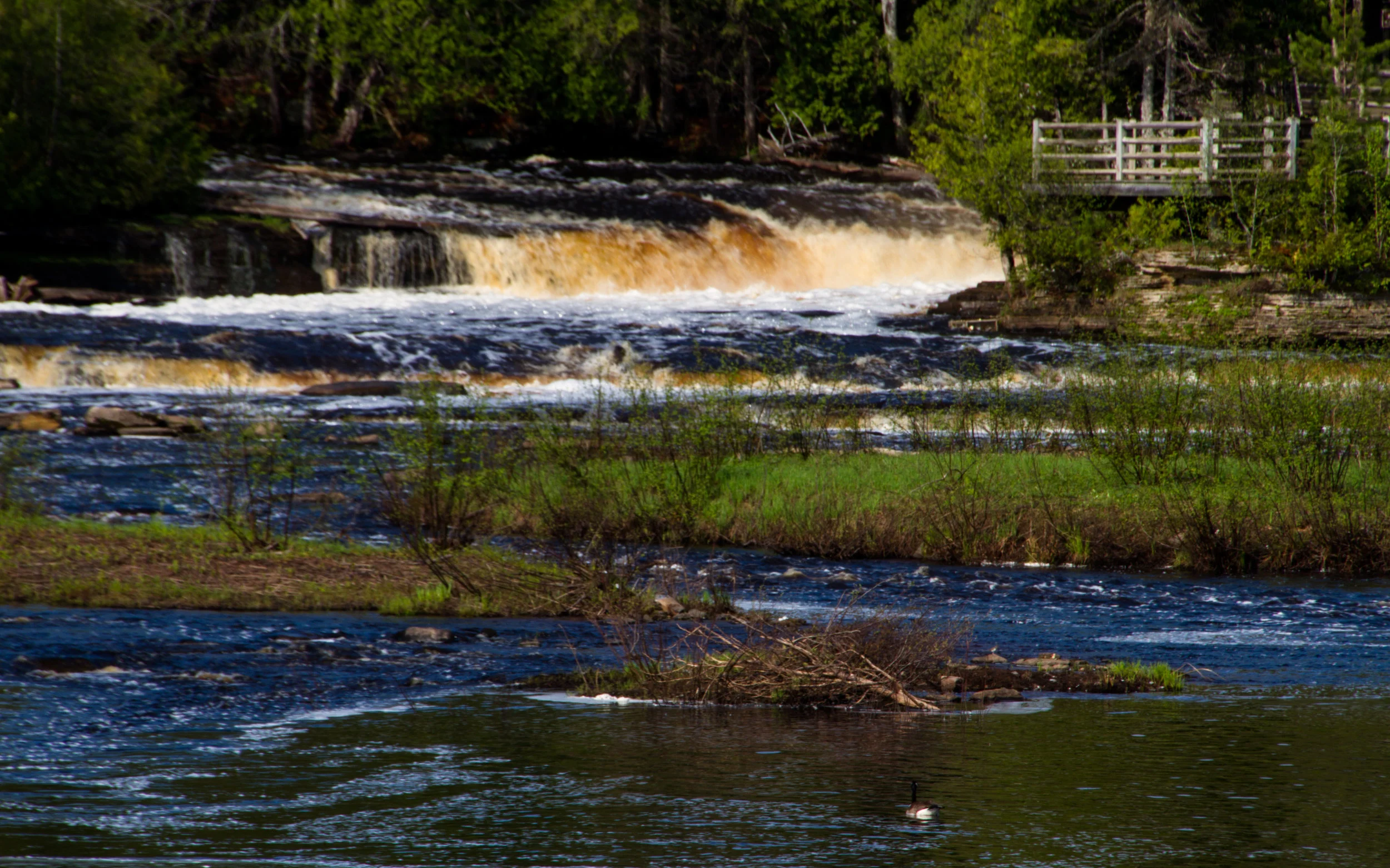 Upper Peninsula Spring 2018 — Princejvstin Photography