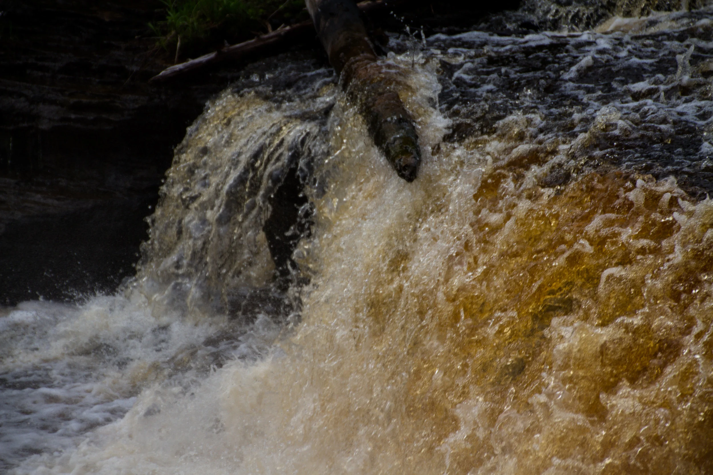 Upper Peninsula Spring 2018 — Princejvstin Photography