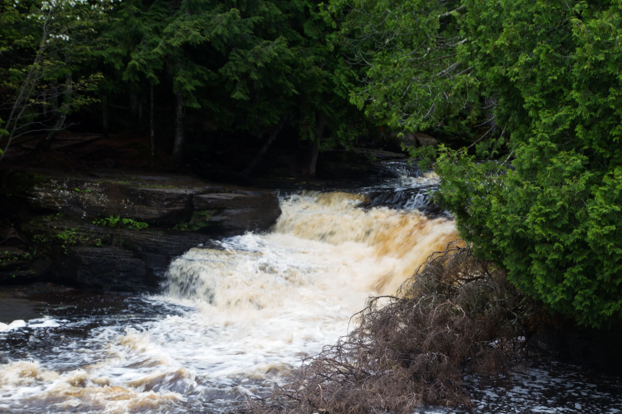 Upper Peninsula Spring 2018 — Princejvstin Photography