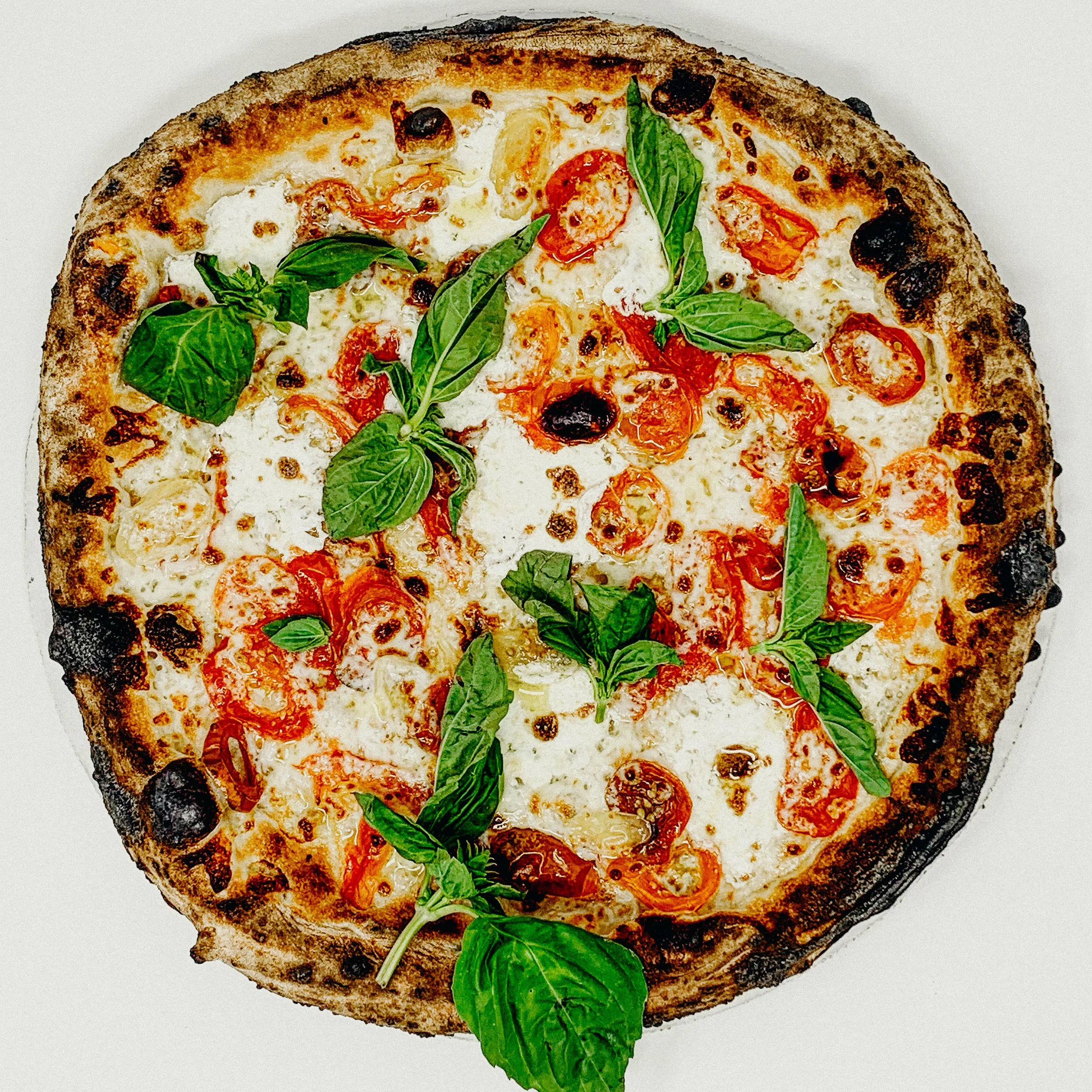 Photos — Wolf Pizza