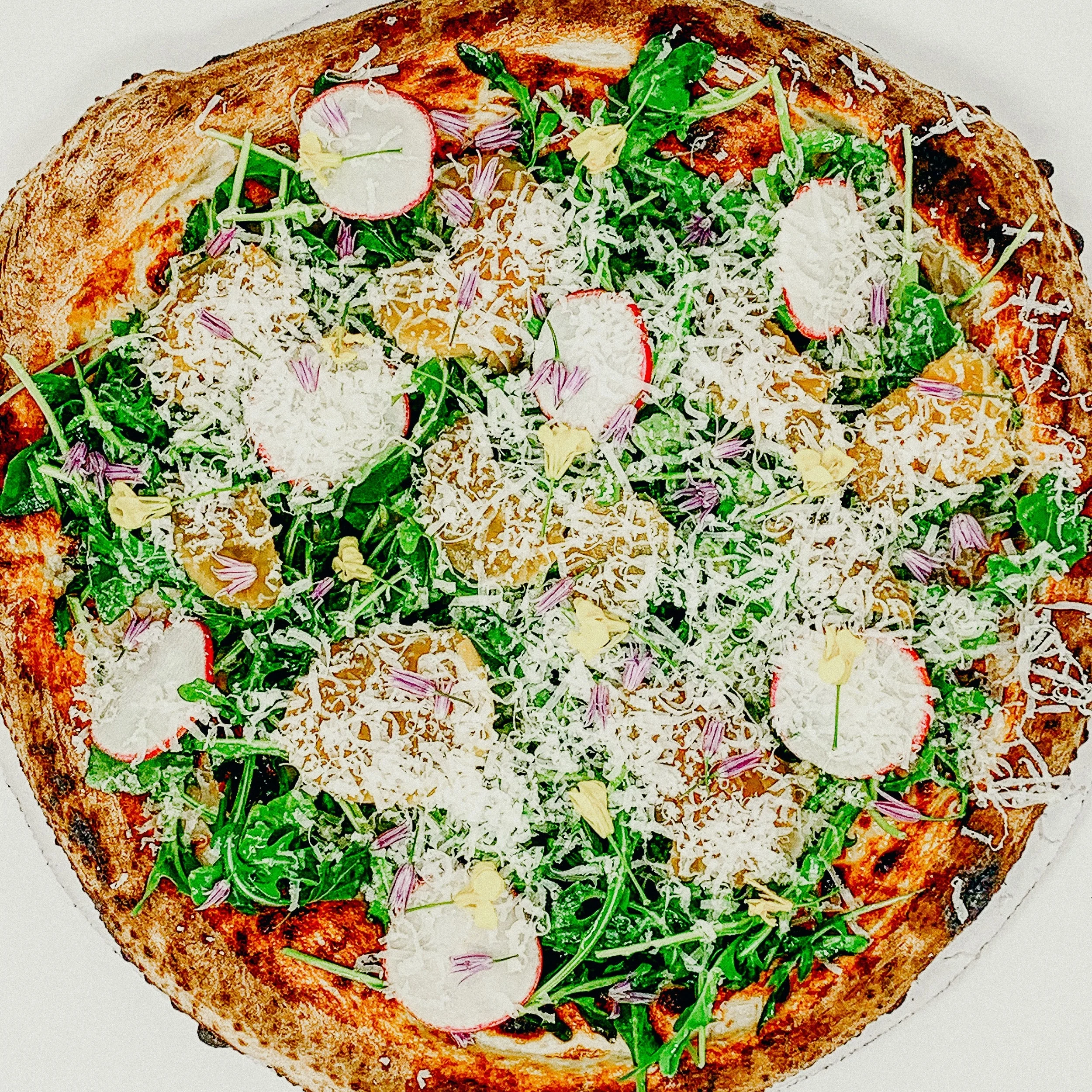 Photos — Wolf Pizza