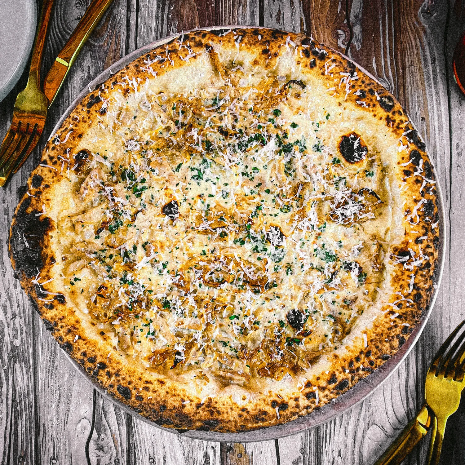 Gallery — Wolf Pizza