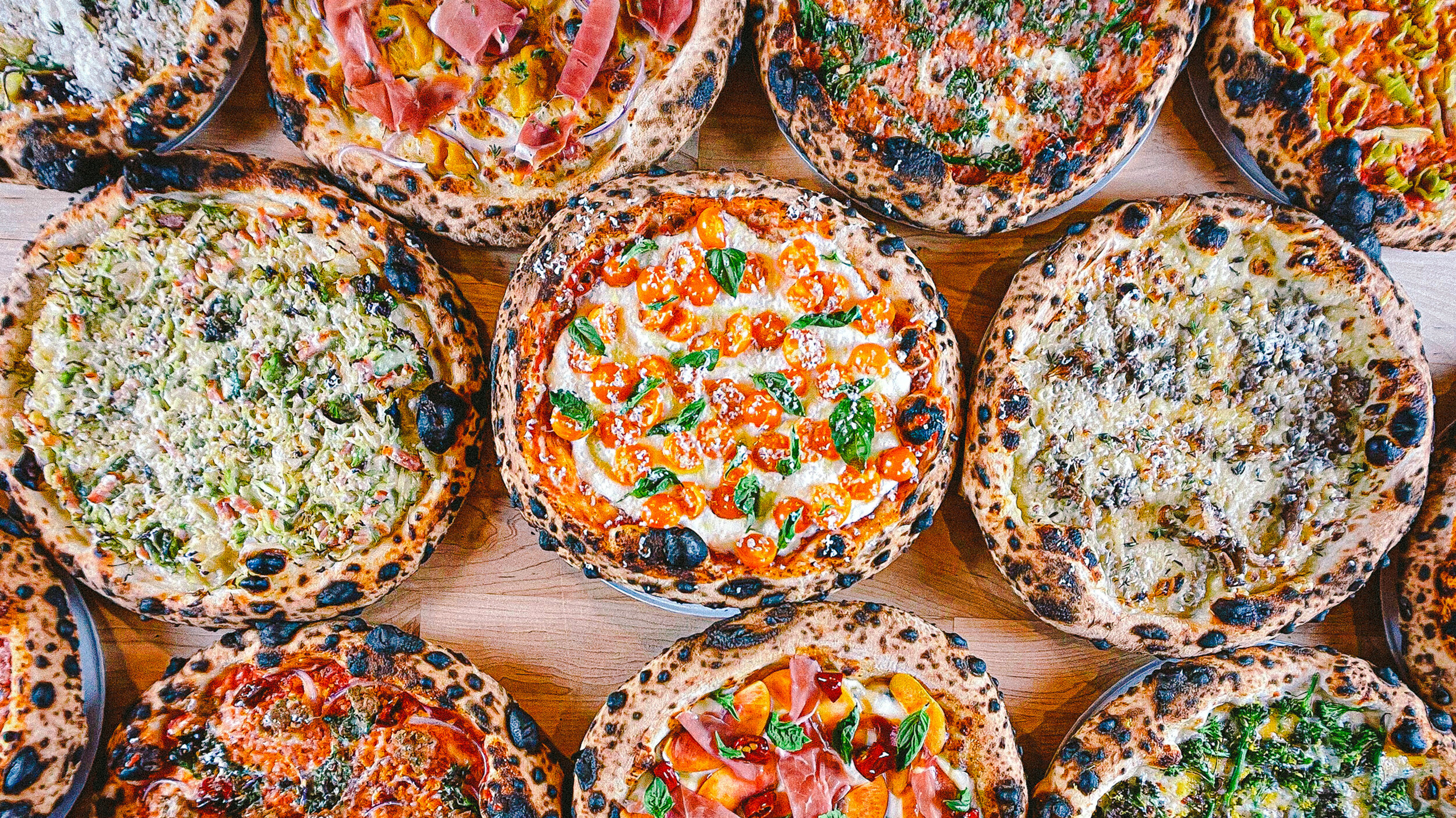 Gallery — Wolf Pizza