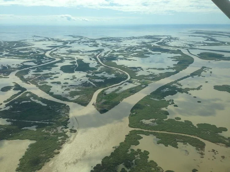 Blog — Delta Discovery Tours