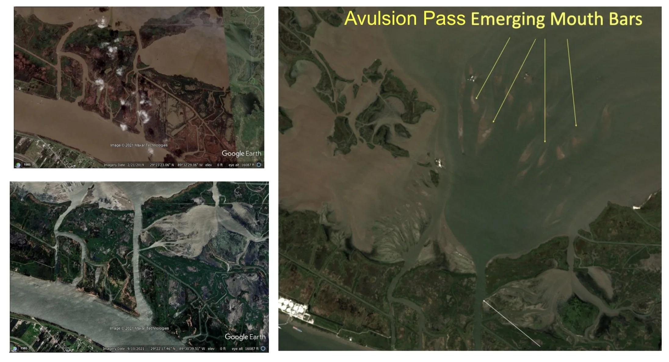 Blog — Delta Discovery Tours