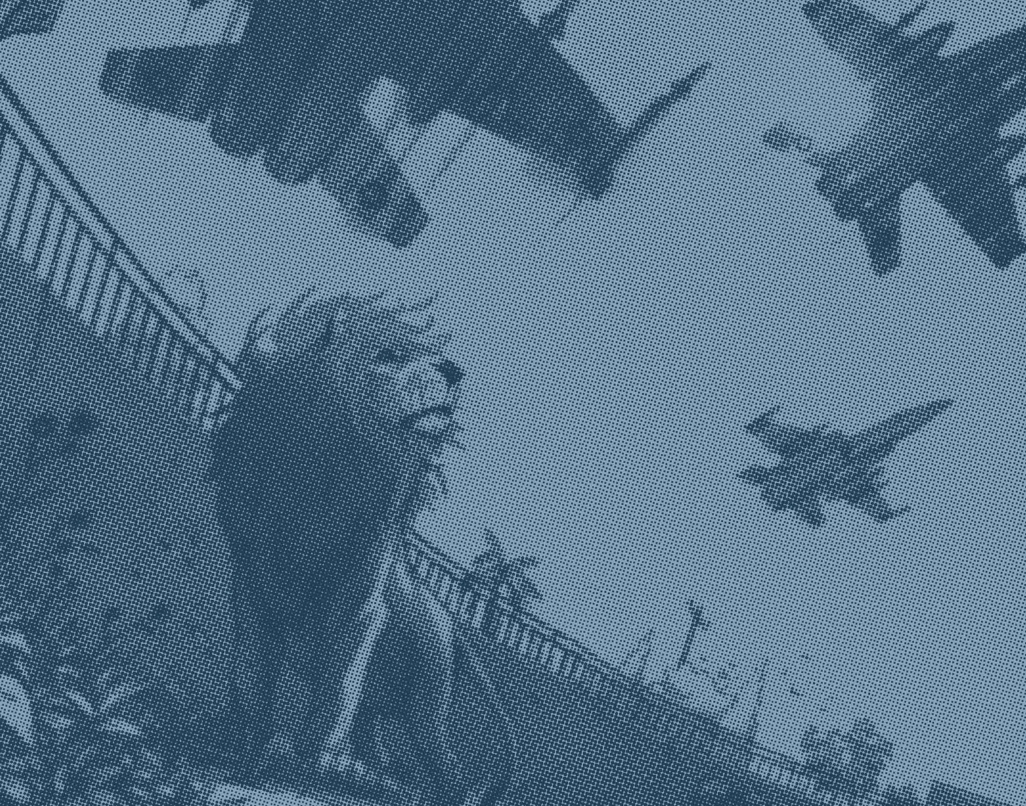 Lion Of Fallujah Book