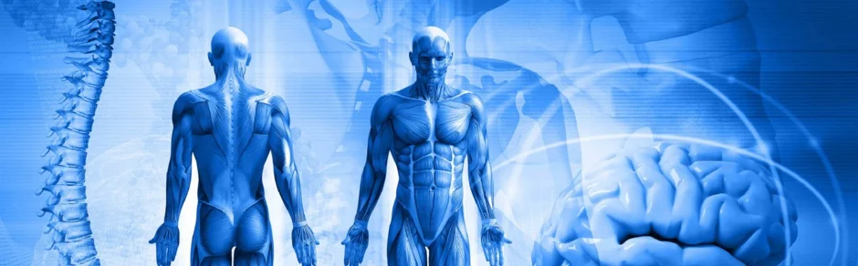 ITIRES OINTMENT BY PEKANA- LYMPHATIC DRAINAGE SUPPORT 35g