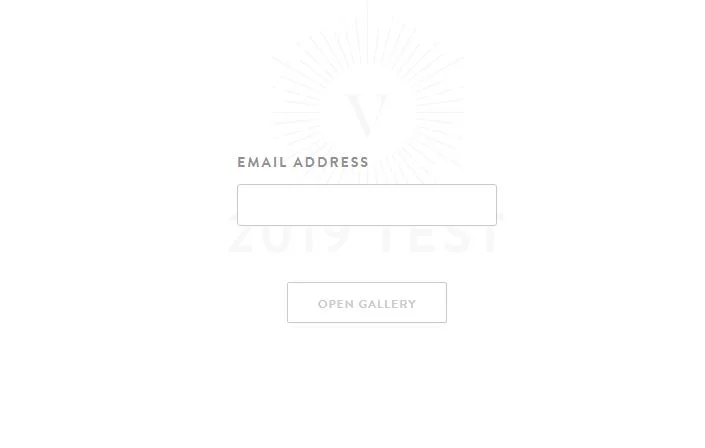 Own Your Annual Photos — Vision Portraits