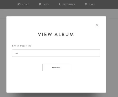 Own Your Annual Photos — Vision Portraits