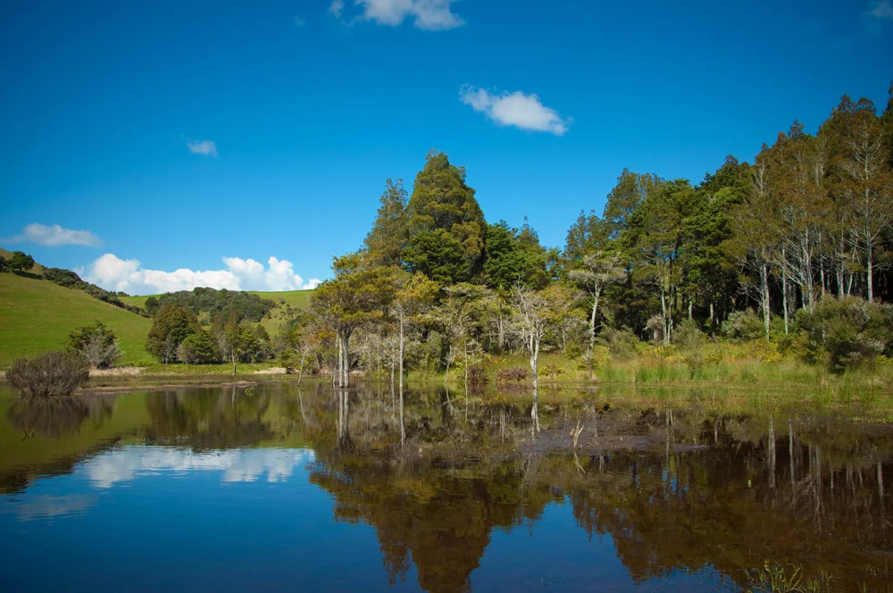 Pataua North Tahi - Sustainable exclusive Nature Reserve New Zealand ...