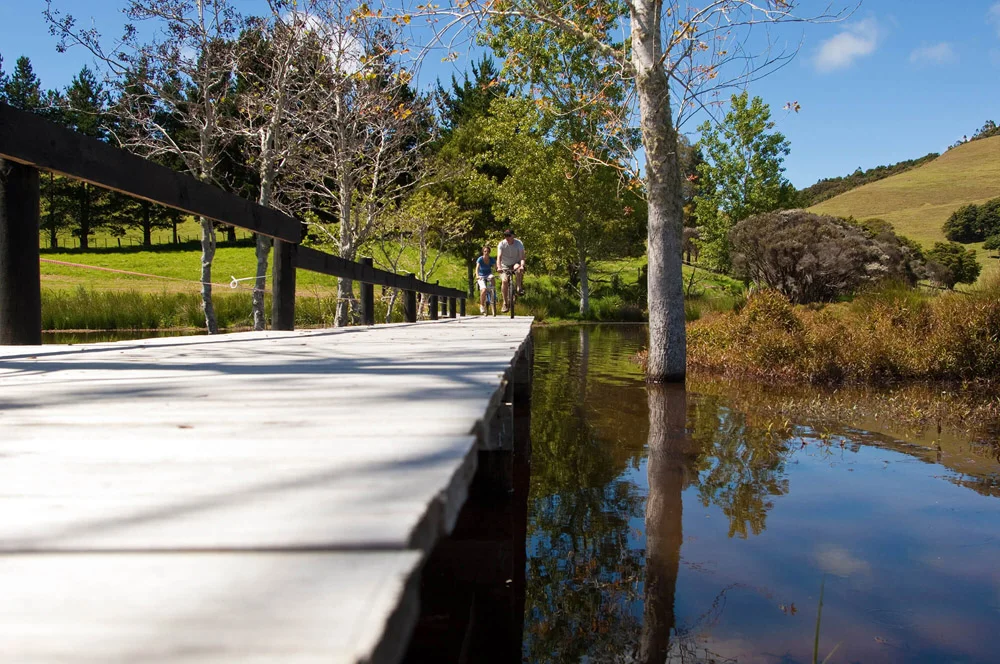 Pataua North Tahi - Sustainable exclusive Nature Reserve New Zealand ...