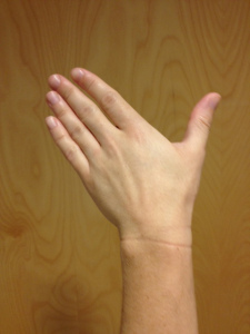 Anatomy of the Wrist — ACRO: Physical Therapy, Massage Therapy & Aerial ...