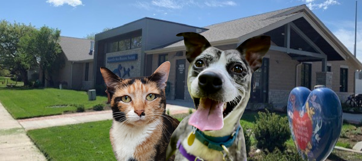 Naperville Area Humane Society