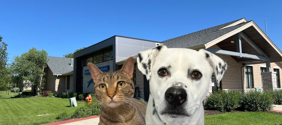 Naperville Area Humane Society