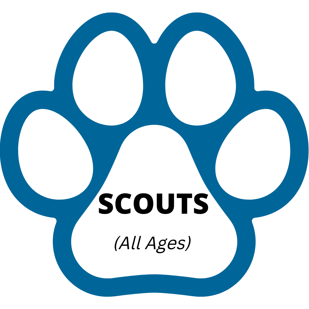 Education, Camps, & Internships — Naperville Area Humane Society