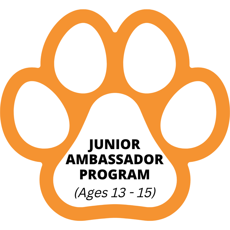 Education, Camps, & Internships — Naperville Area Humane Society