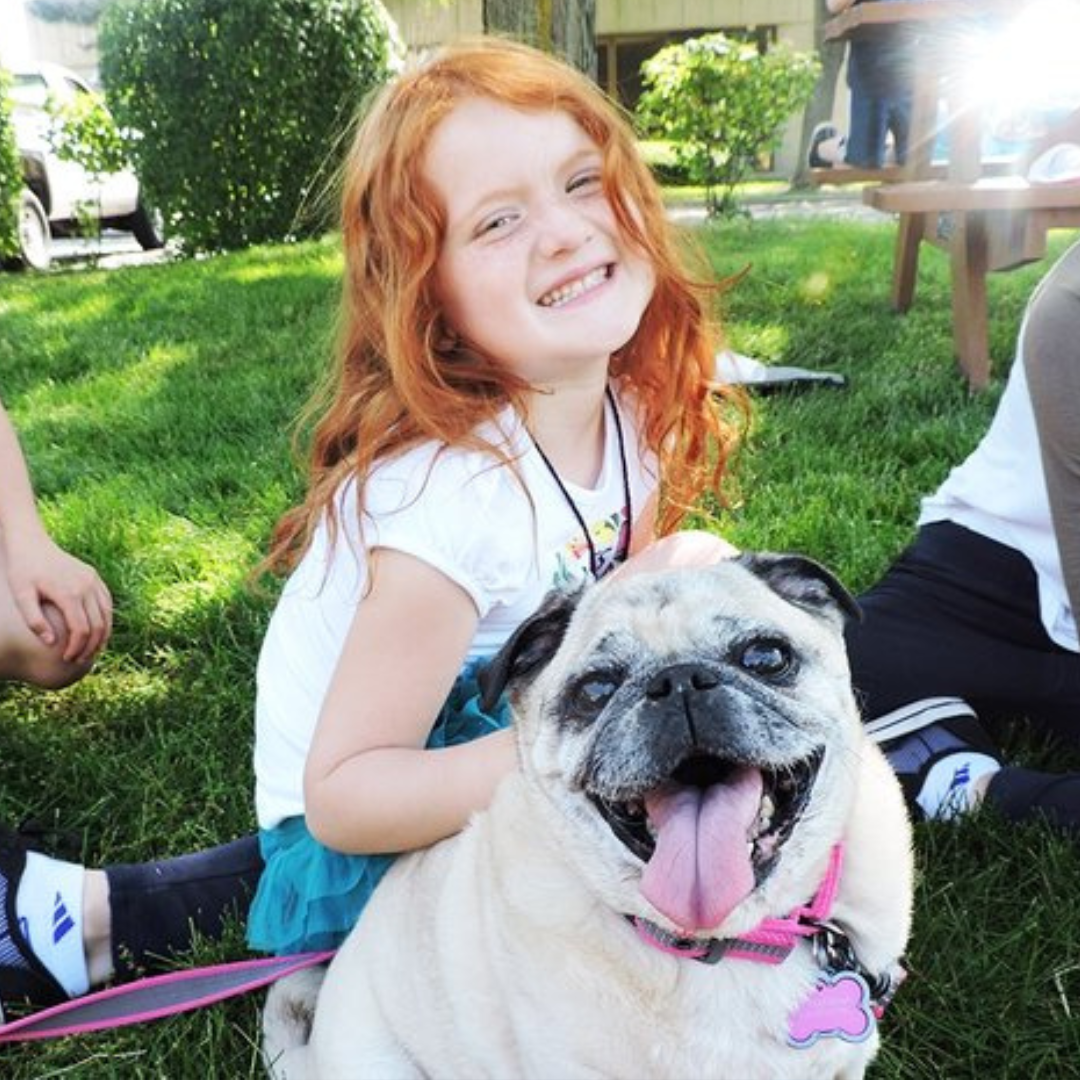 Education, Camps, & Internships — Naperville Area Humane Society