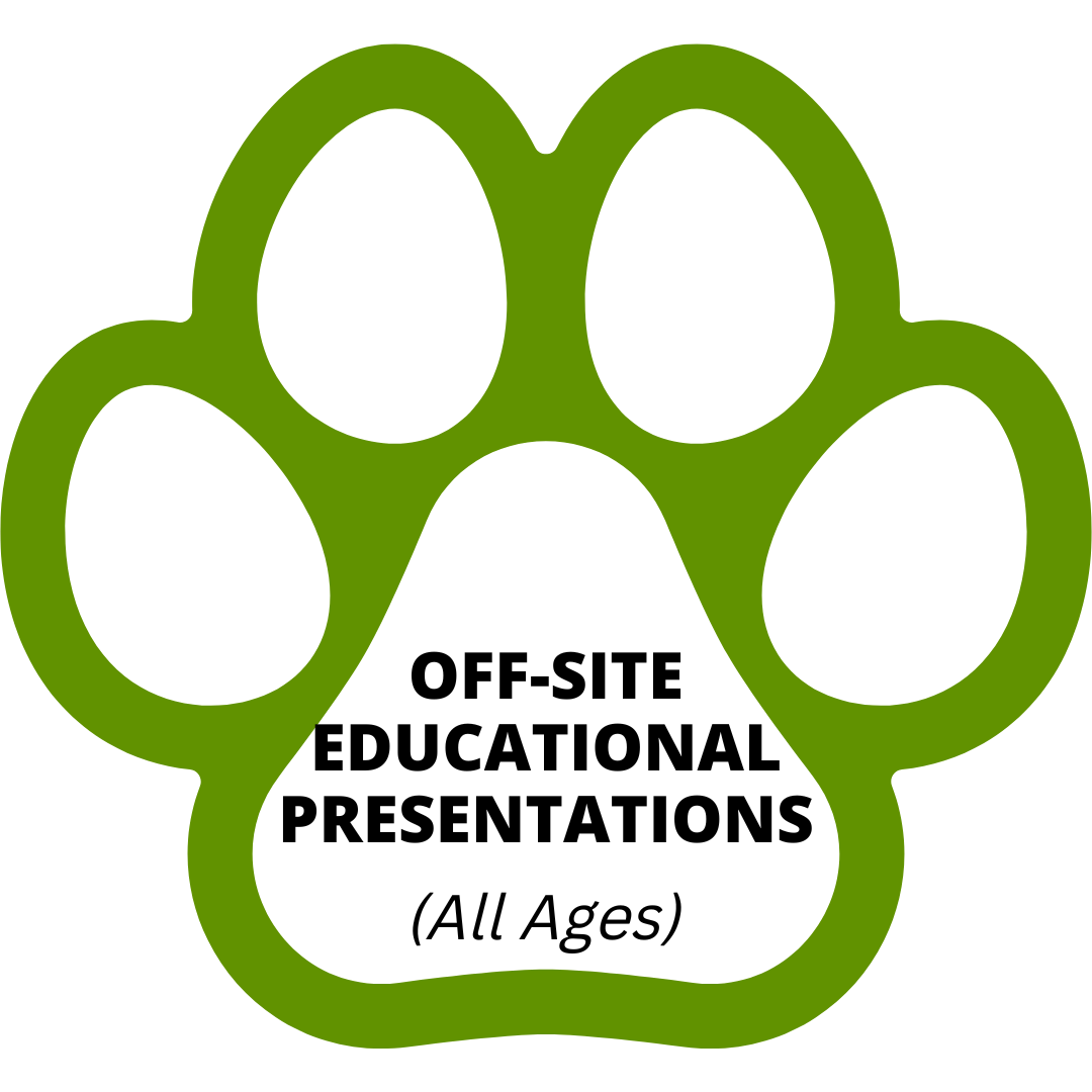 Education, Camps, & Internships — Naperville Area Humane Society