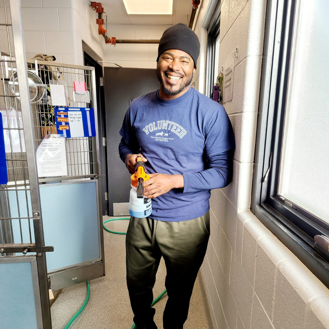 In-Shelter Volunteering — Naperville Area Humane Society