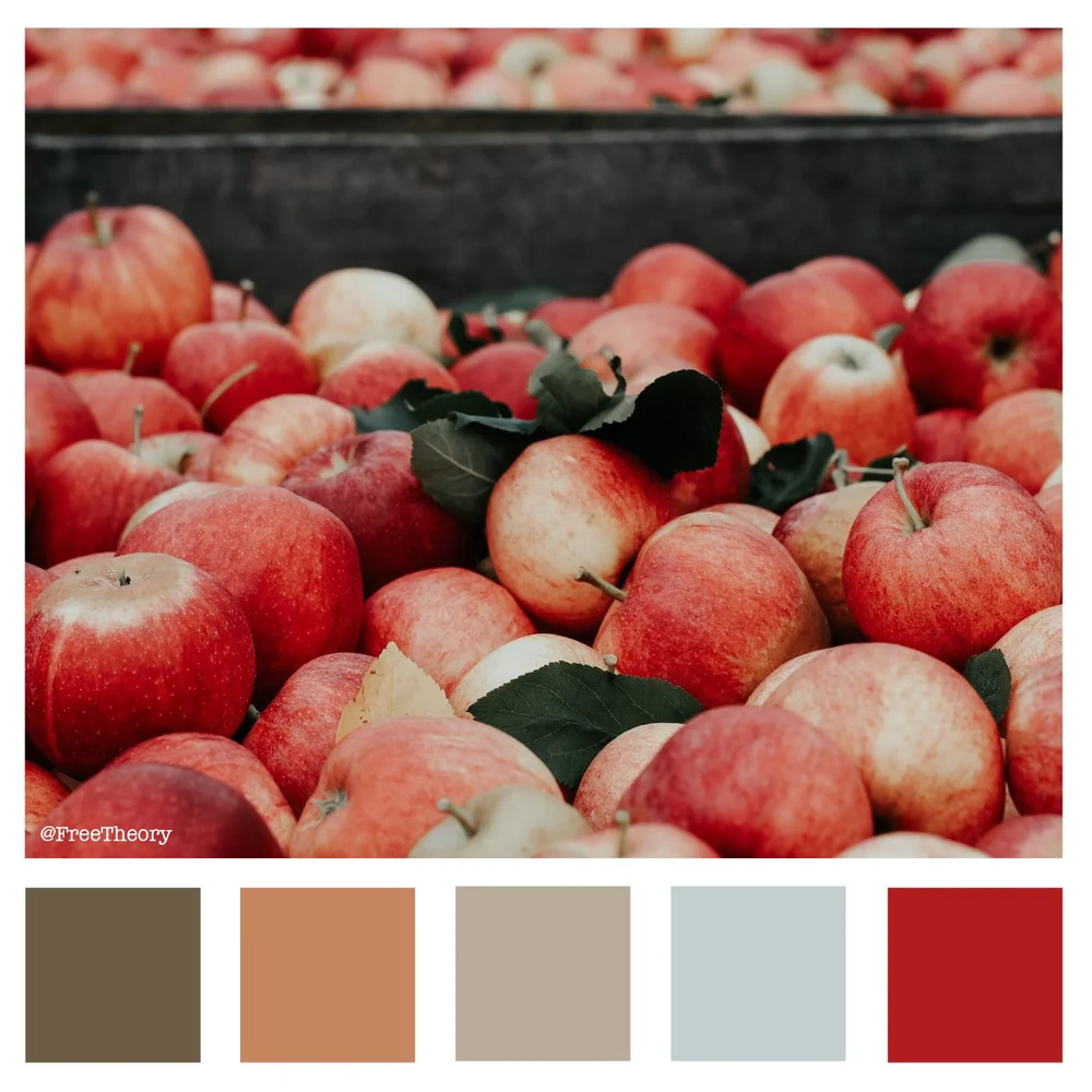Freshly Picked Apples Color Palette — Free Theory