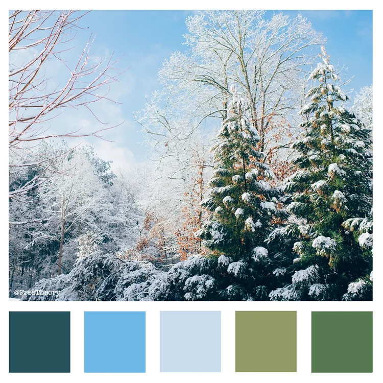 Bright Winter Day Color Palette — Free Theory