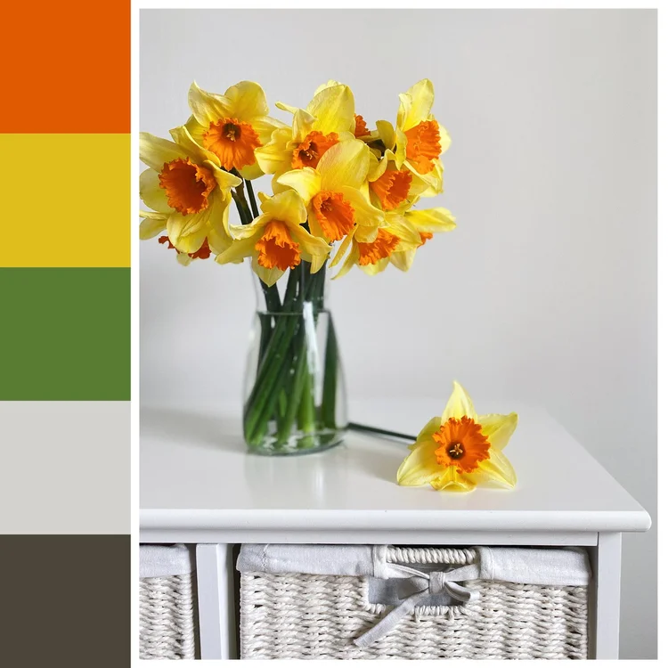 Daffodils Color Palette — Free Theory