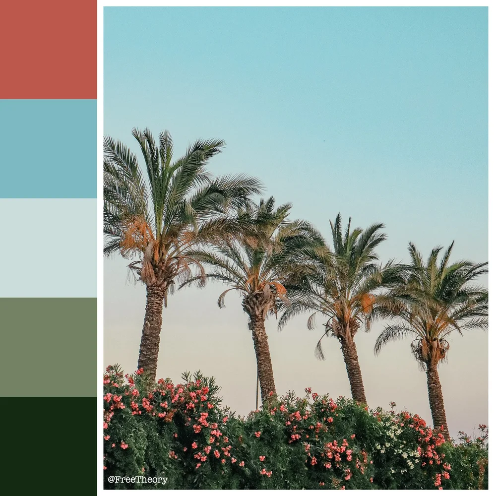 Palm Trees Color Palette — Free Theory