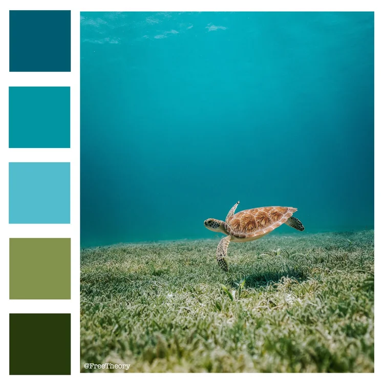 Sea Turtle Color Palette — Free Theory