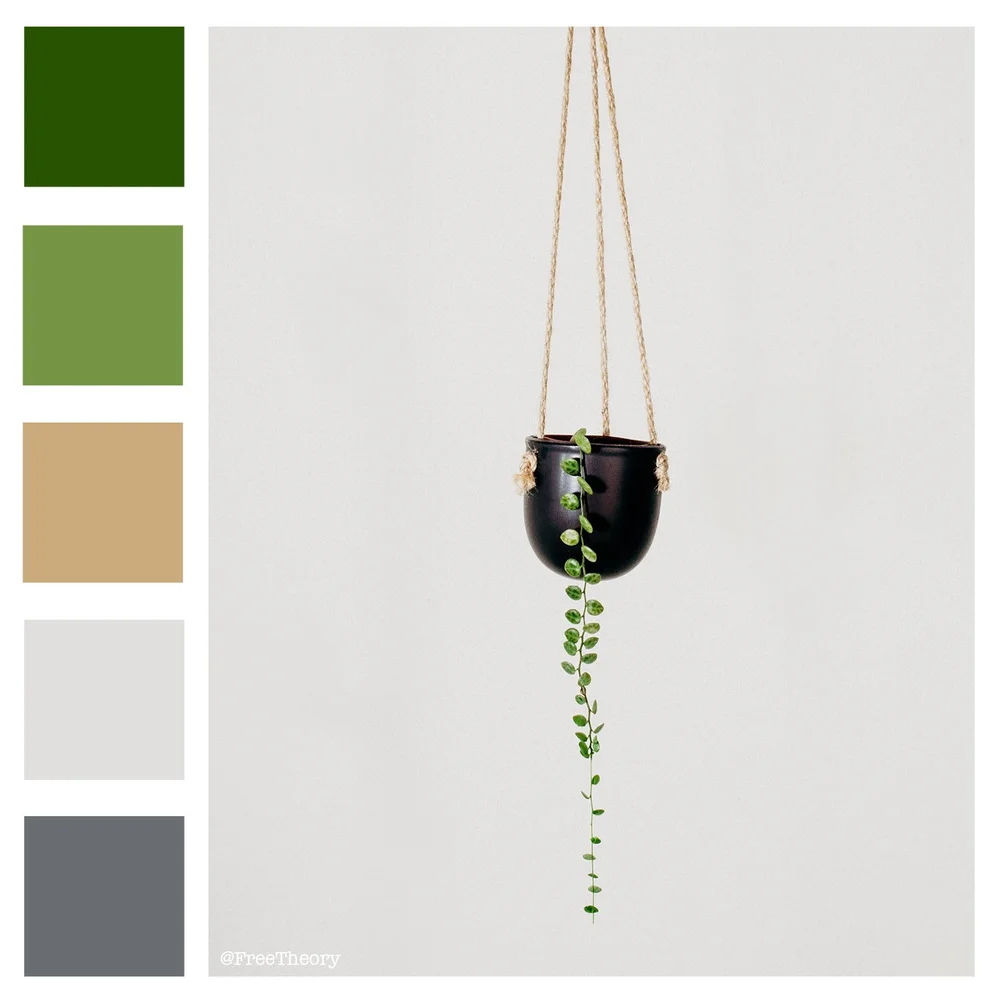 Indoor Vine Color Palette — Free Theory