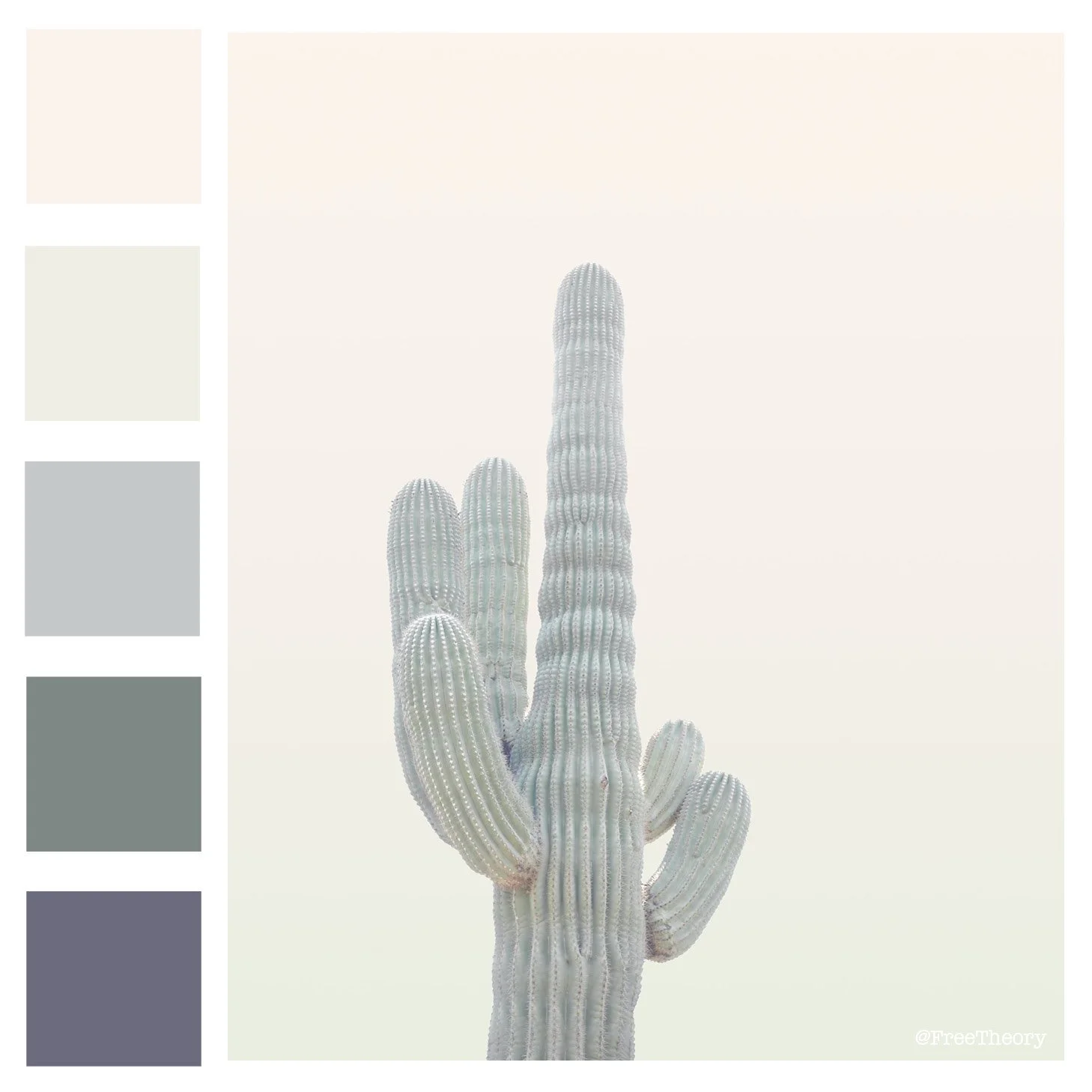 Saguaro Cactus Color Palette — Free Theory