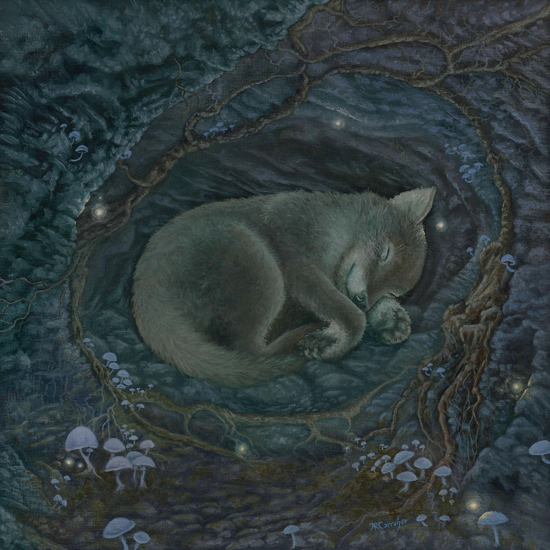 Jon Carraher