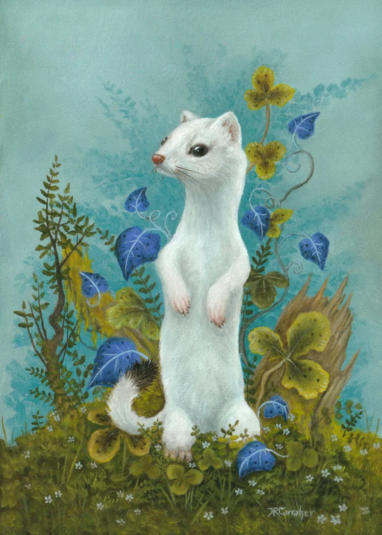White Weasels