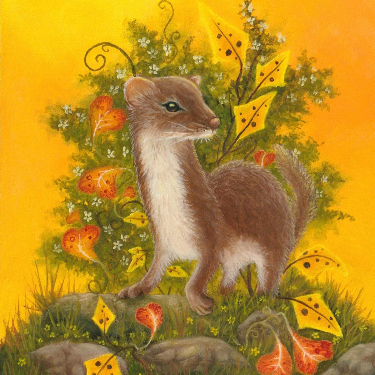 Faunae - Brown Weasel - Reproduction — Jon Carraher