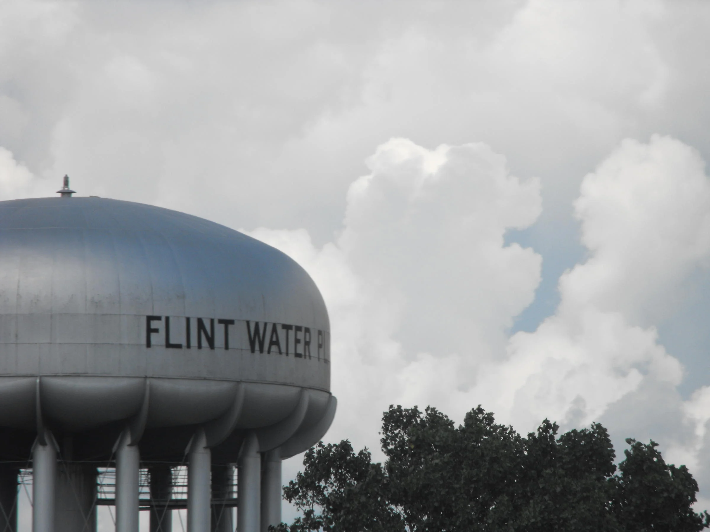 The Ongoing Water Crisis in Flint, Michigan — Taylor Research Group