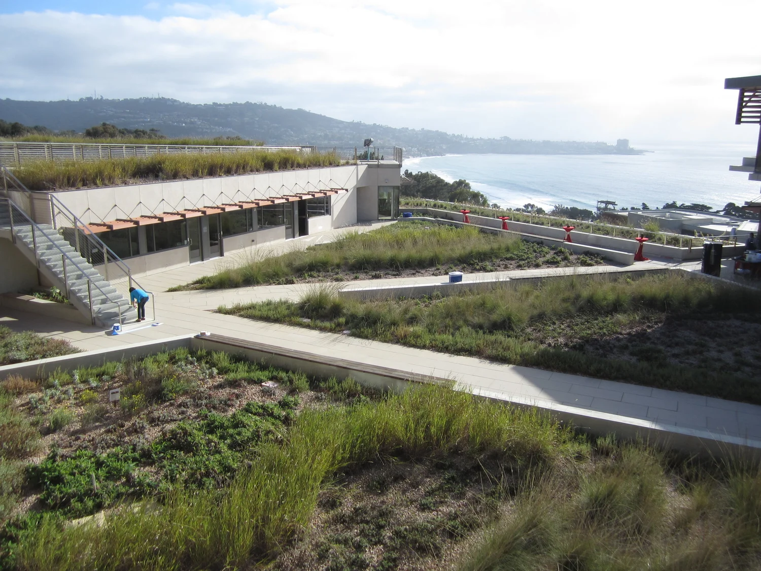 Green Roof Architecture