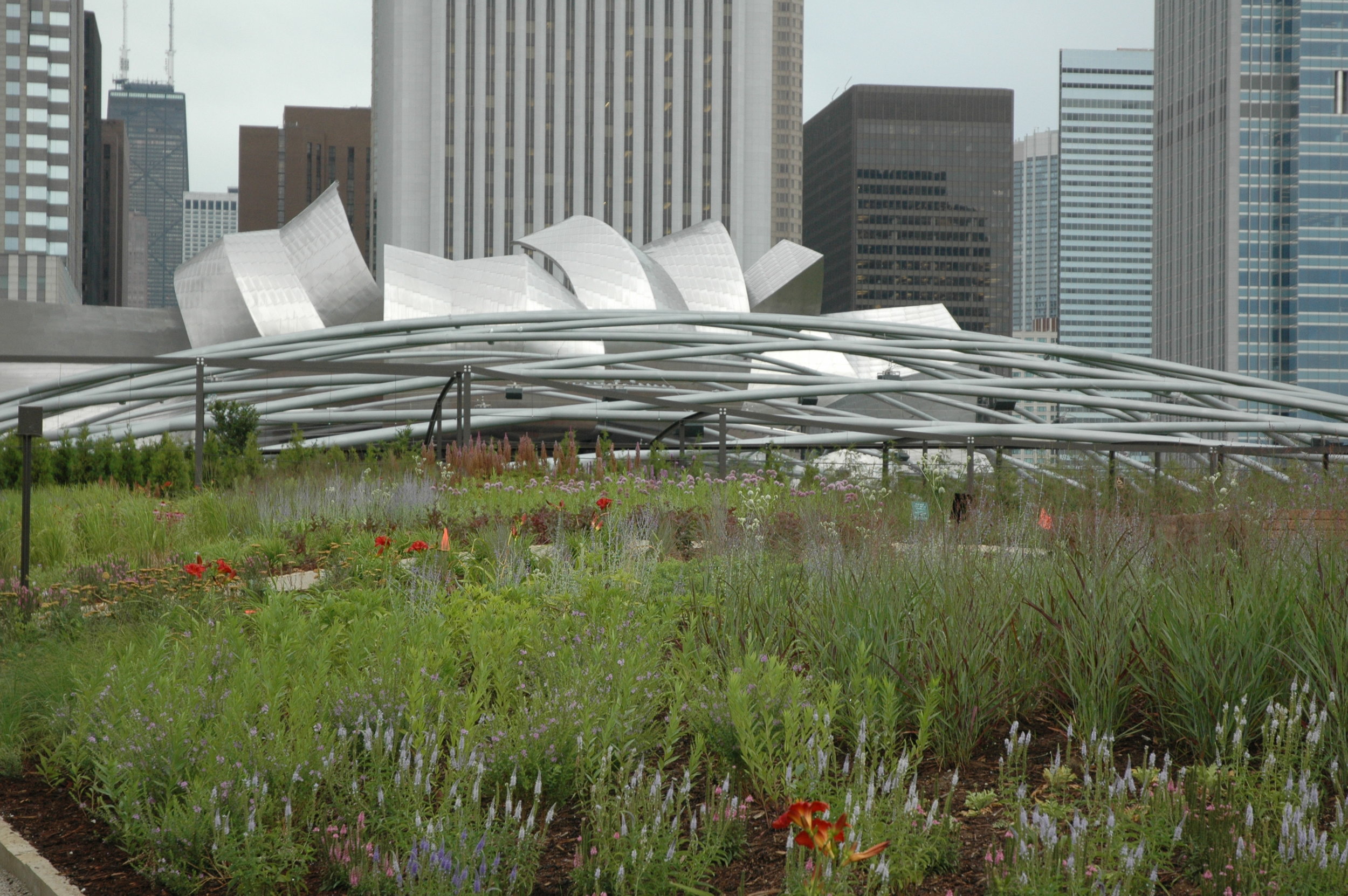 Design Standards — Green Roofs for Healthy Cities