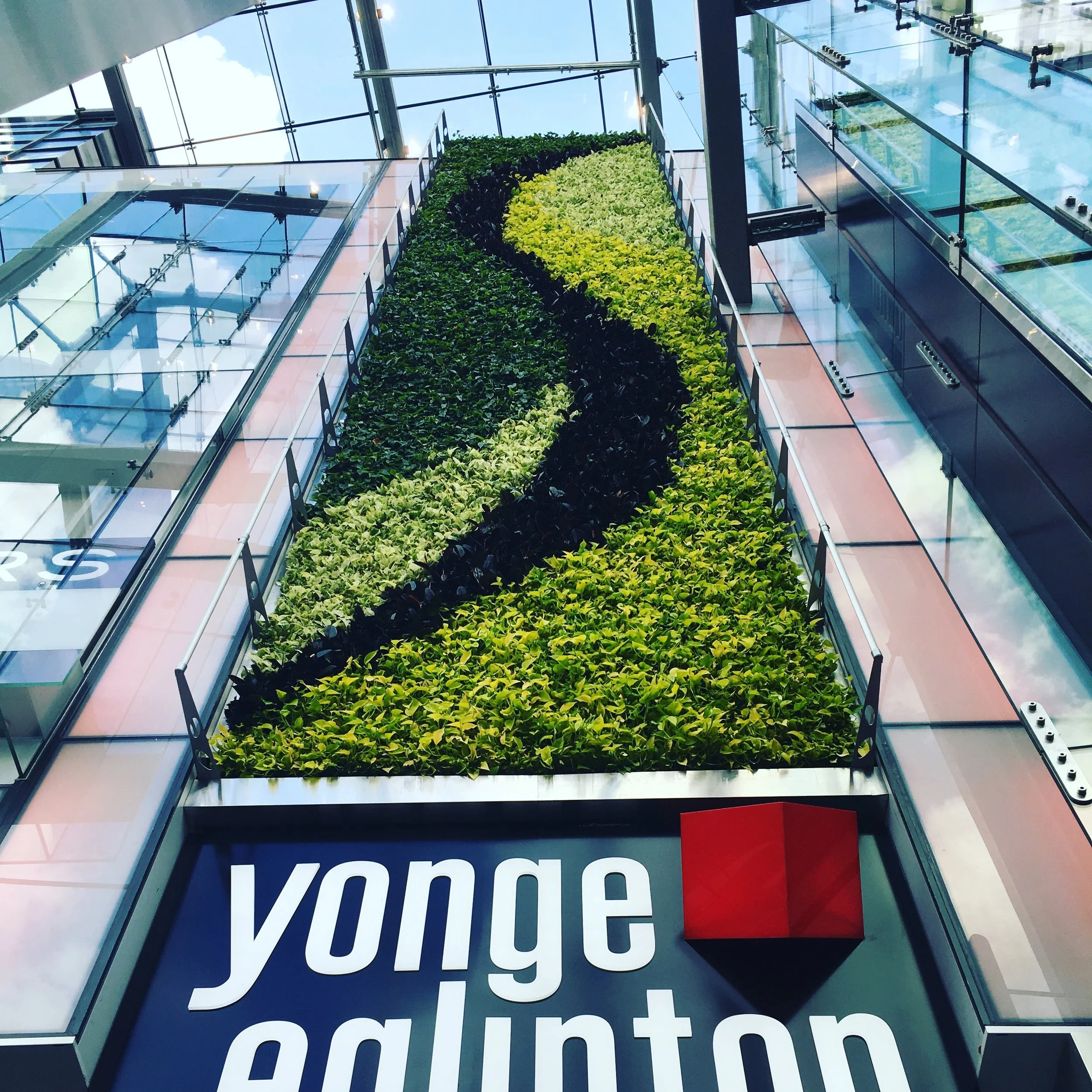 About Green Walls — Green Roofs for Healthy Cities