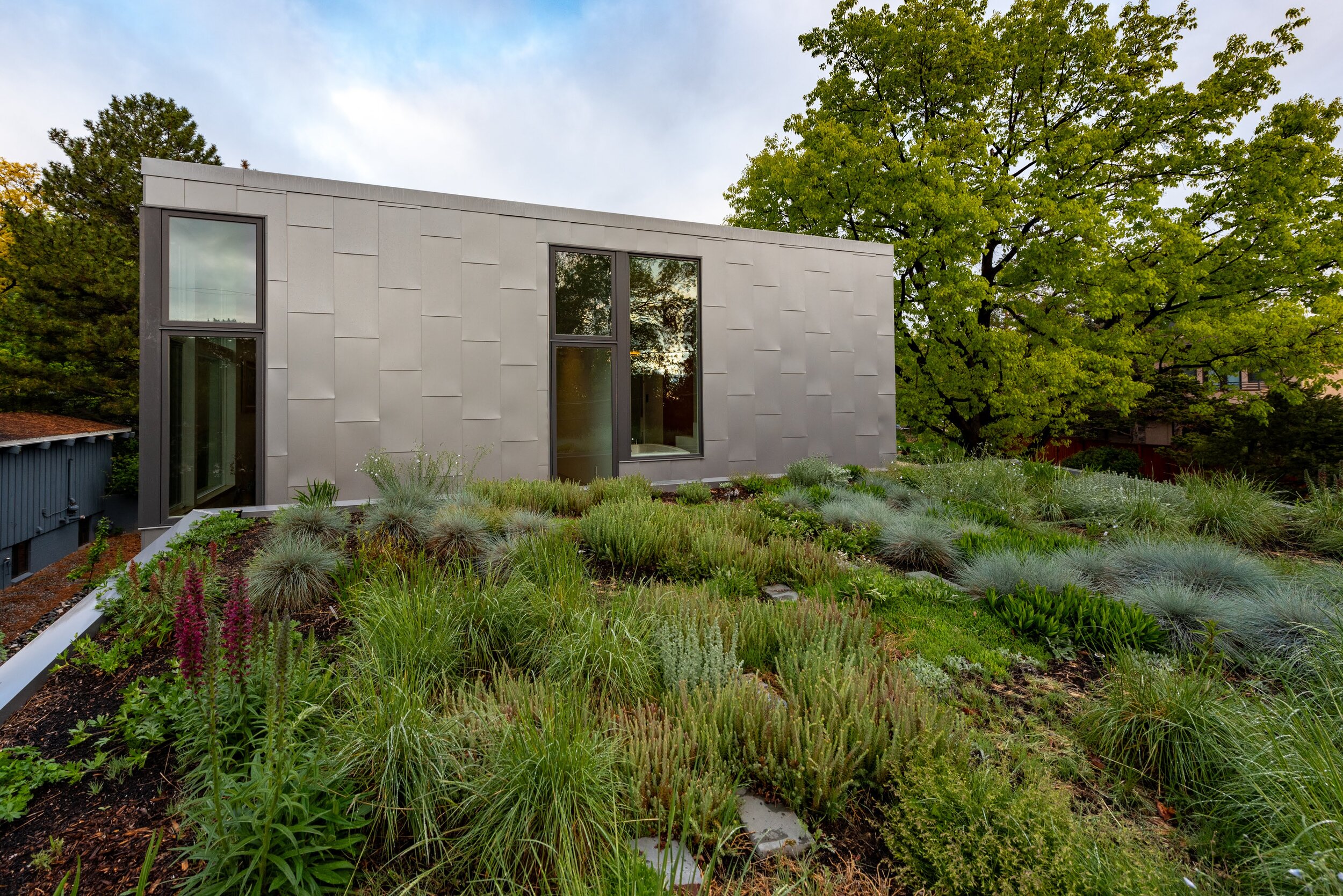 Modern Green Roof House