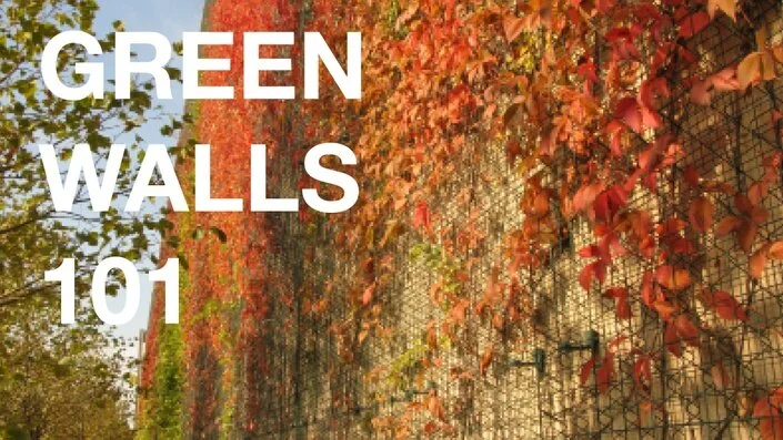 Living Architecture Academy — Green Roofs for Healthy Cities