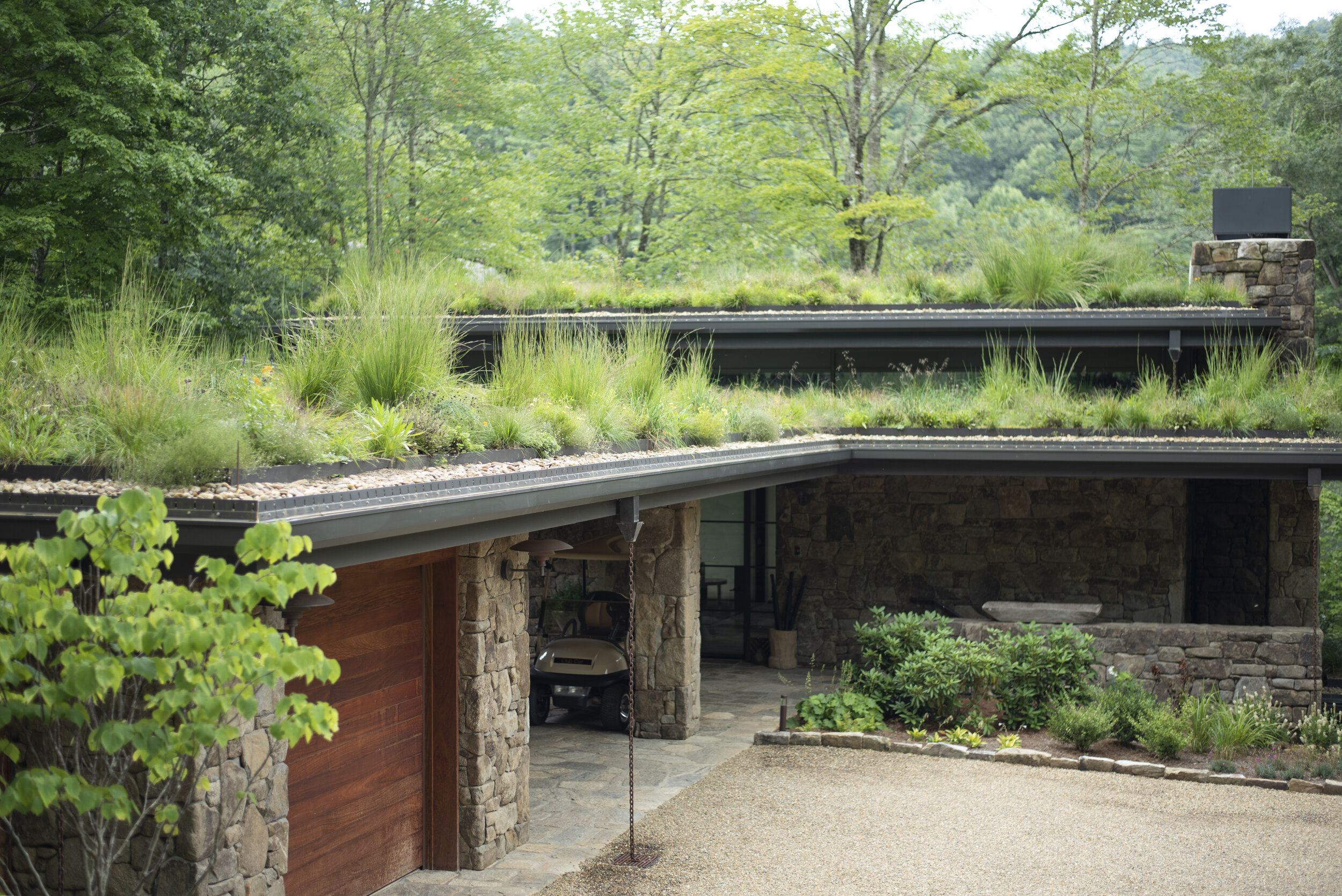 Green Roofs for Healthy Cities