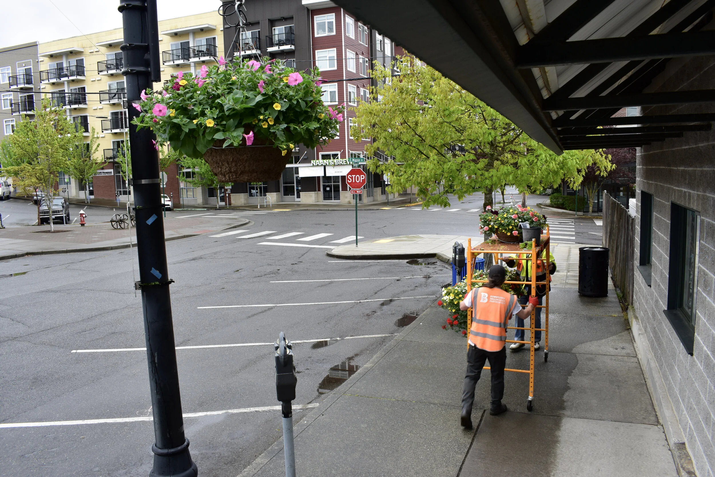 Landscaping Program — Downtown Bellingham