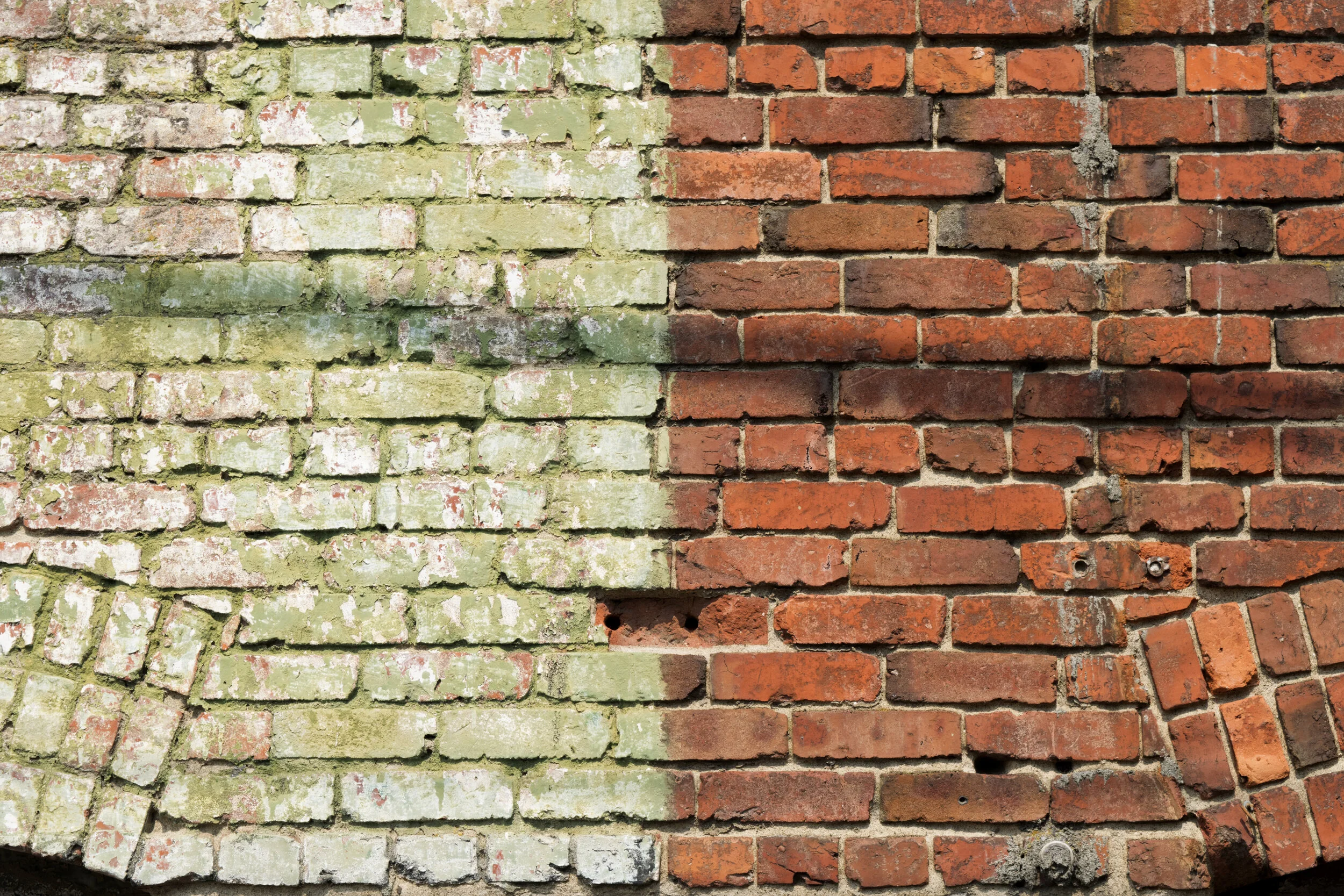 Newsletters — Downtown Bellingham