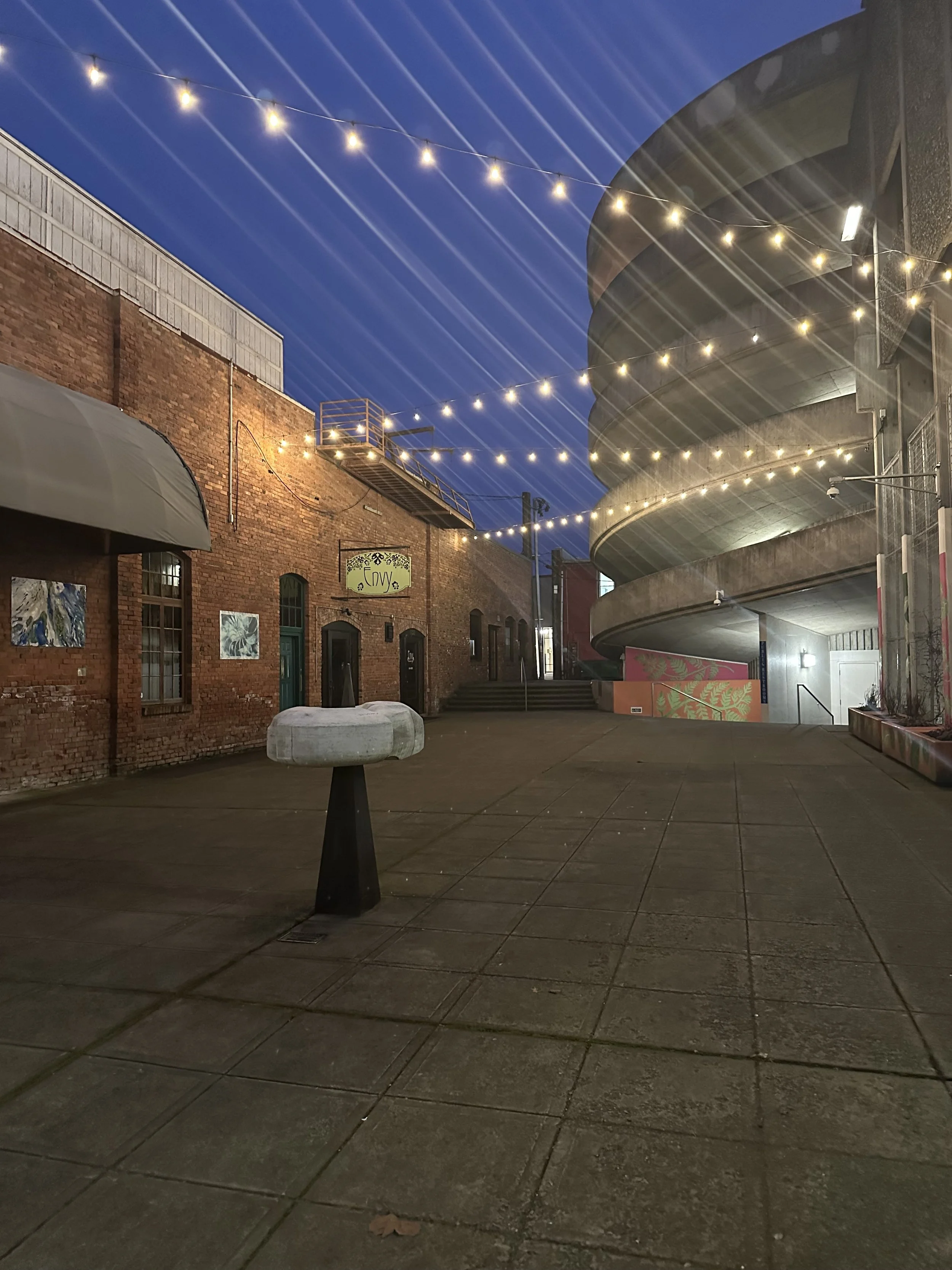 Clean And Safe Programs — Downtown Bellingham