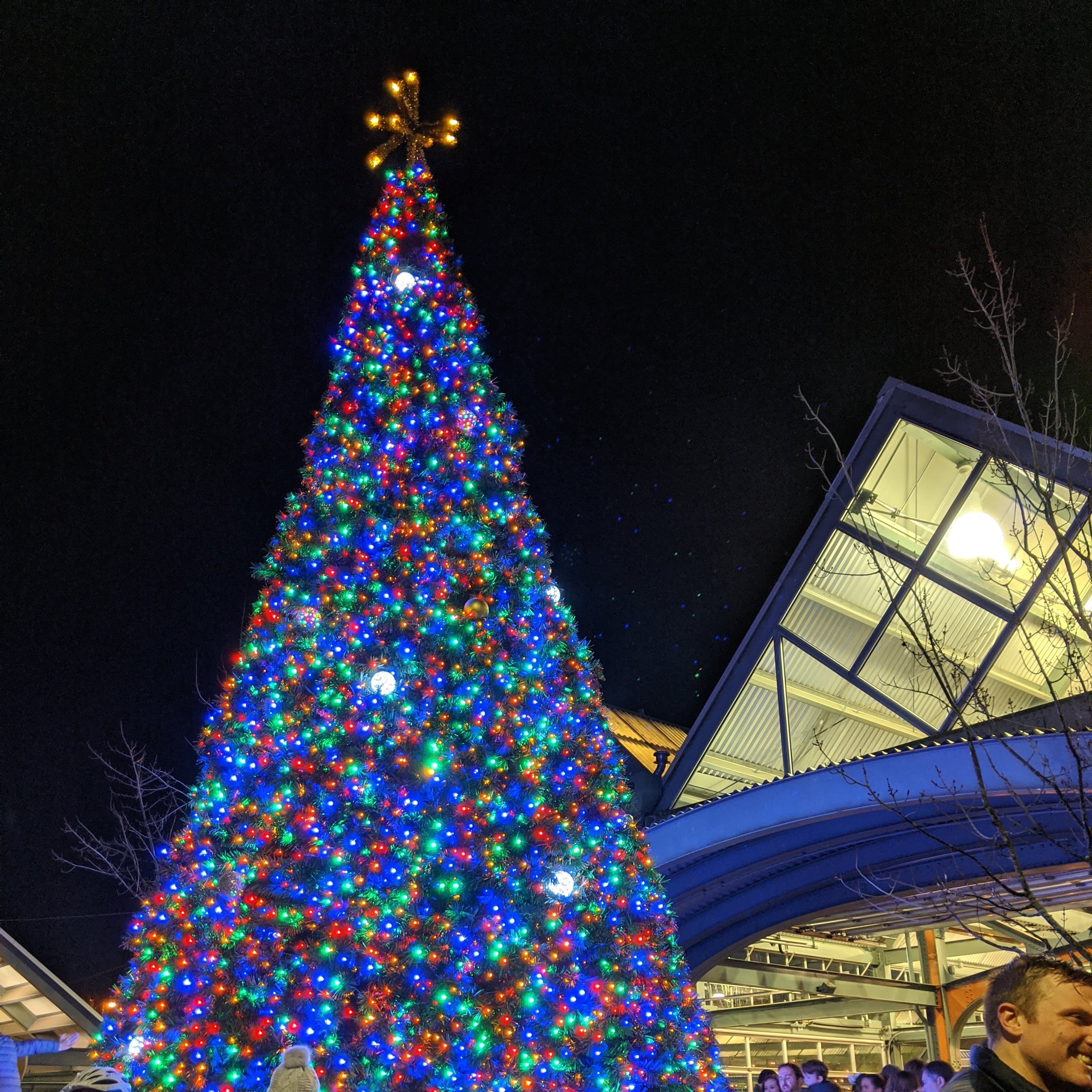 Holidays Downtown — Downtown Bellingham