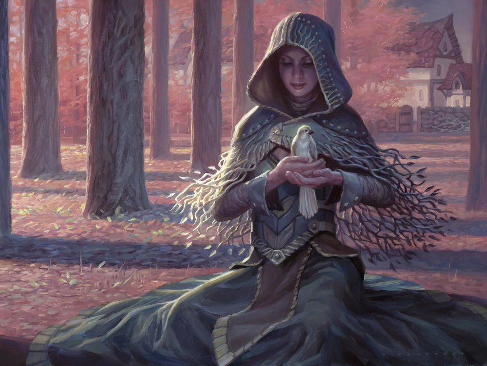 illustrations — Ryan Pancoast Illustration