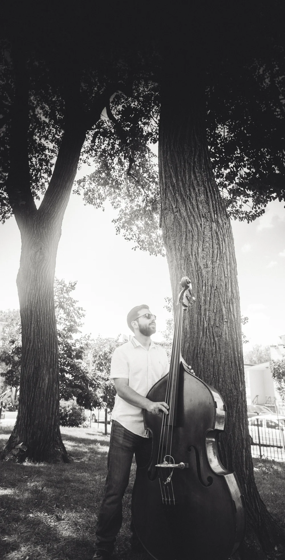 Gallery — Alex Tremblay Bassist. Composer. Educator.