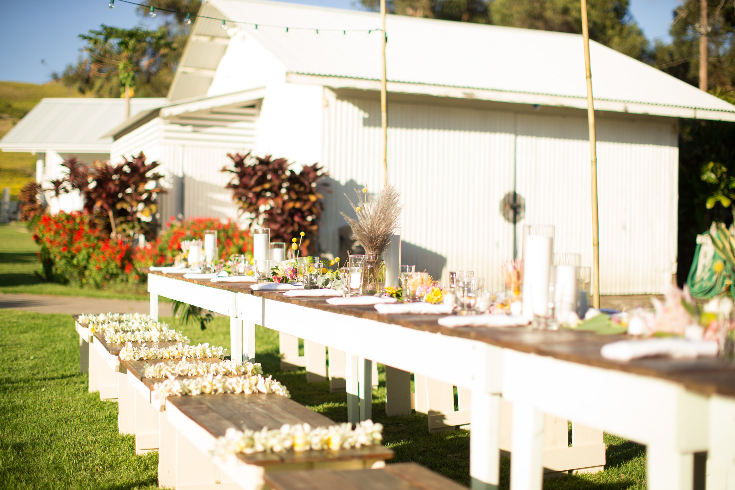 Gallery — Anna Ranch Heritage Center