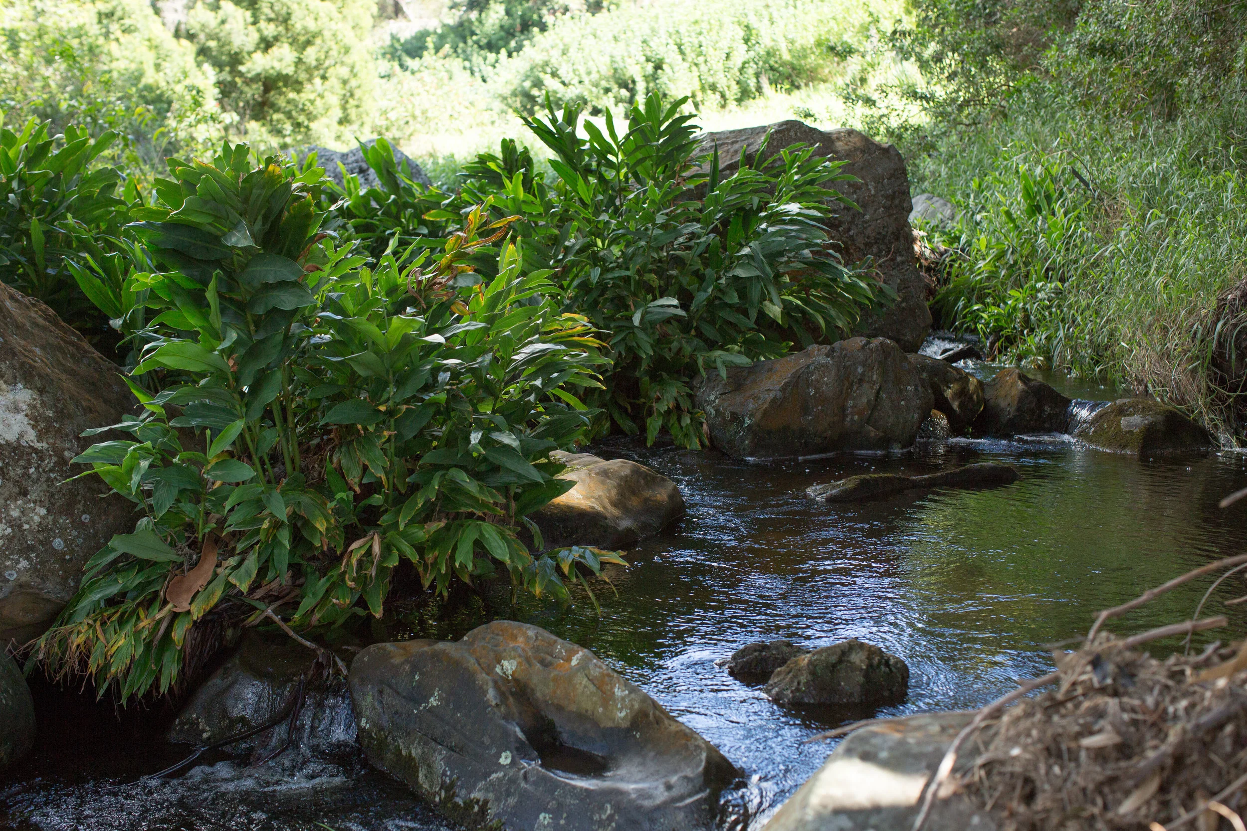 Gallery — Anna Ranch Heritage Center